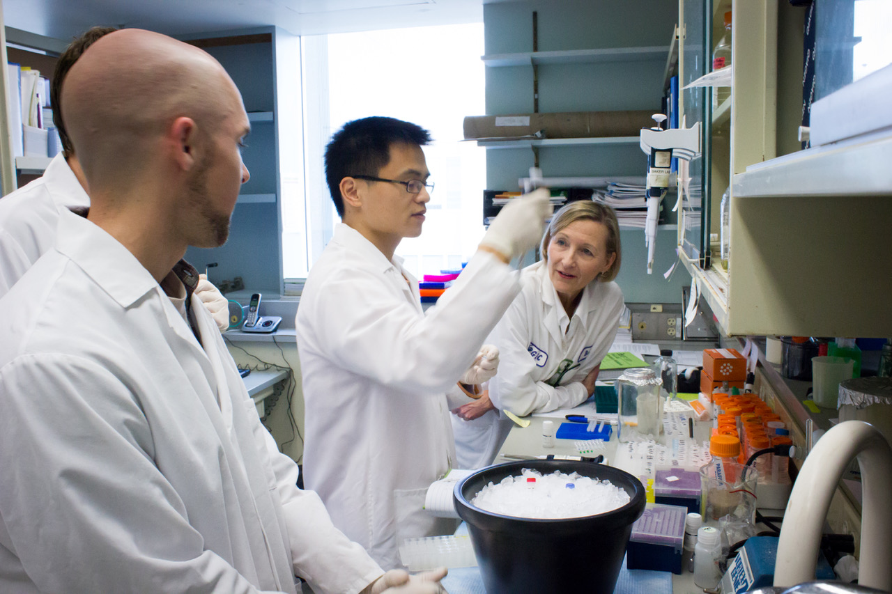Barbara Baker, Ph.D., a Los Al graduate, elected to National Academy of ...
