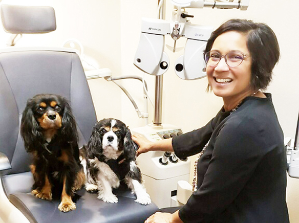 Alamitos Eyecare using technology, acquisitions to expand | The Event ...